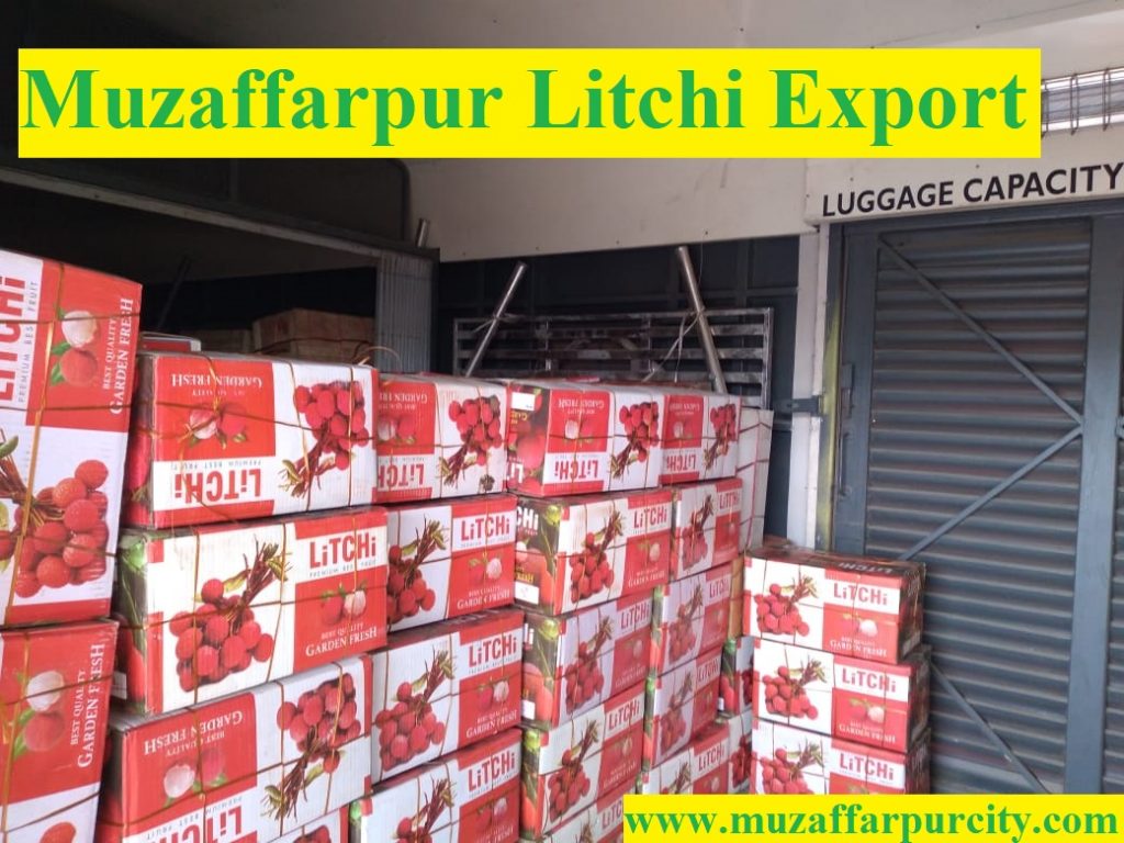 Transportation of Litchi from Muzaffarpur to Mumbai | Muzaffarpur City ...