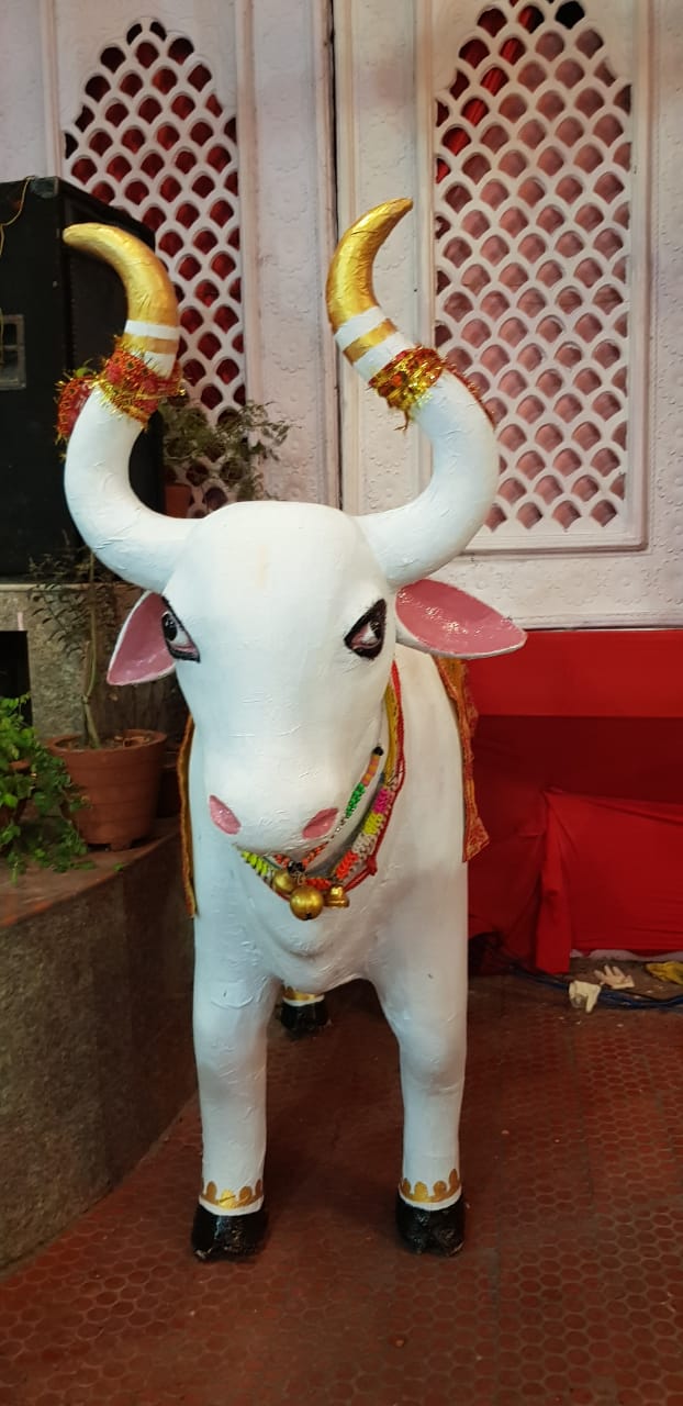 Mahesh Babu chowk - Durga Puja Pictures 2021 | Muzaffarpur City : Breaking News