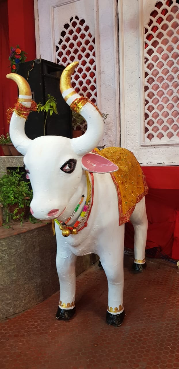 Mahesh Babu chowk - Durga Puja Pictures 2021 | Muzaffarpur City : Breaking News